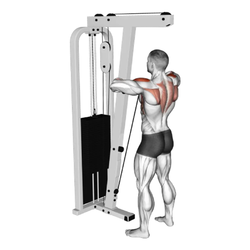 Barbell Upright Row: Guide, Muscles Worked, Tips | Athlemove