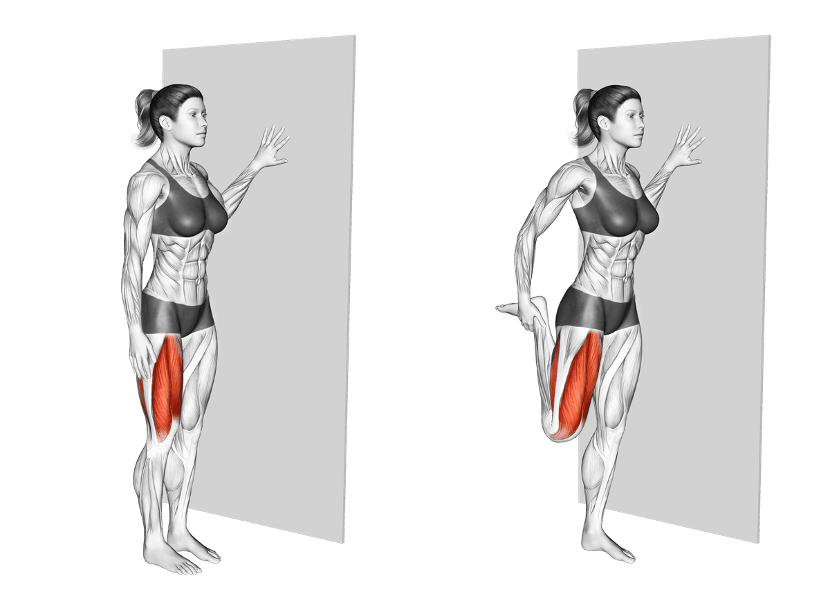 Standing Quadriceps Stretch: Guide, Muscles Worked, Tips | Athlemove