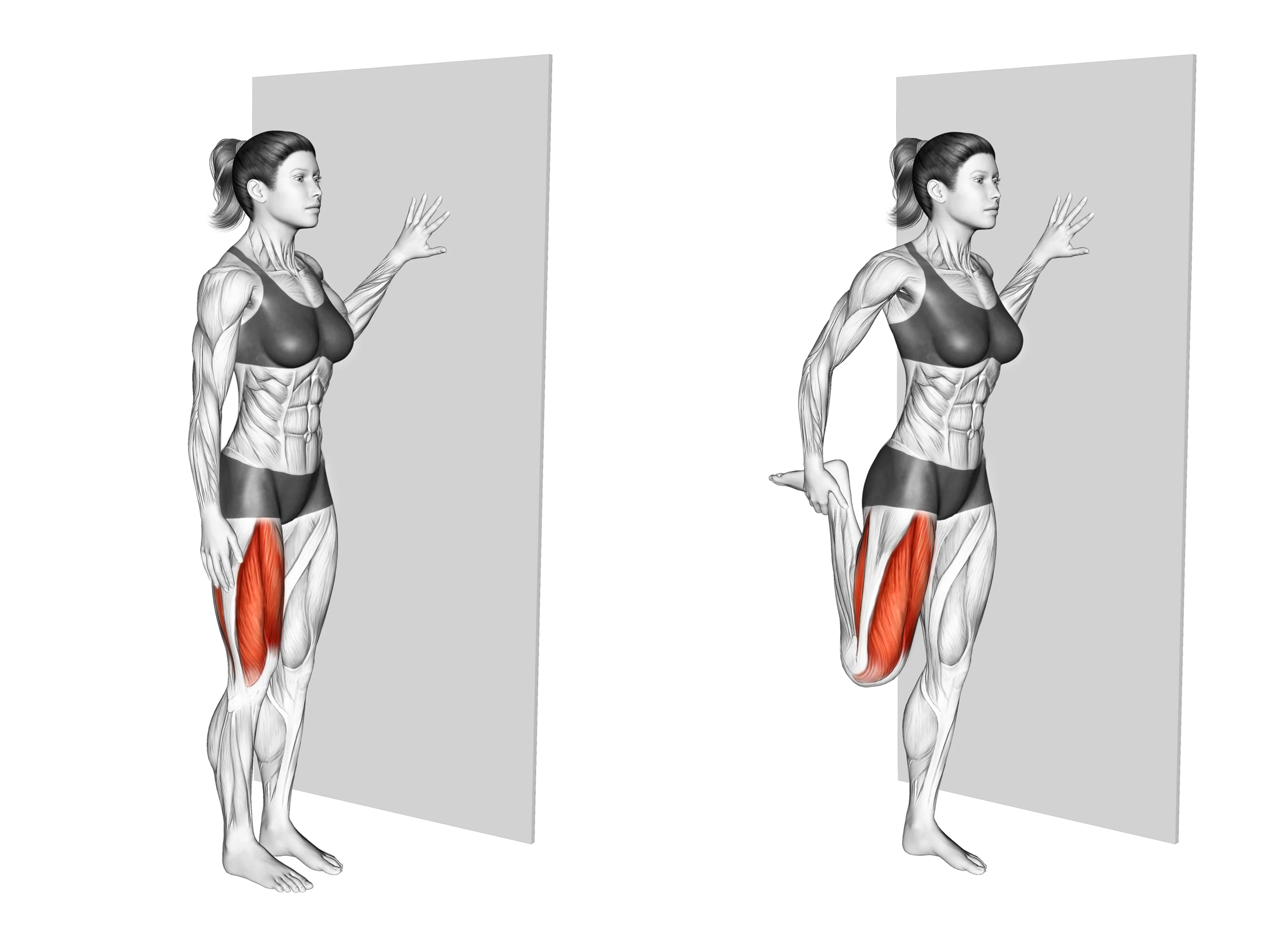 Standing Quadriceps Stretch Guide Muscles Worked Tips Athlemove Standing Quadriceps Stretch Guide Muscles Worked Tips Athlemove