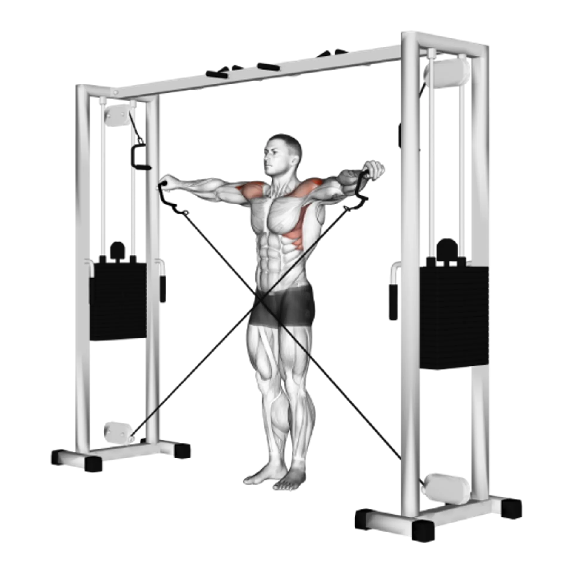 Machine Lateral Raise: Guide, Muscles Worked, Tips | Athlemove