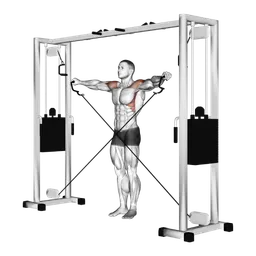 Machine Lateral Raise: Guide, Muscles Worked, Tips | Athlemove