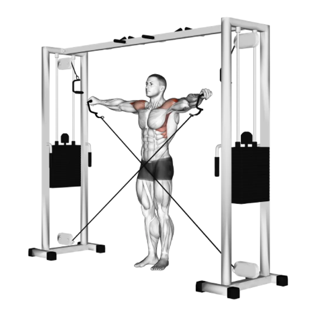 Machine Lateral Raise: Guide, Muscles Worked, Tips | Athlemove