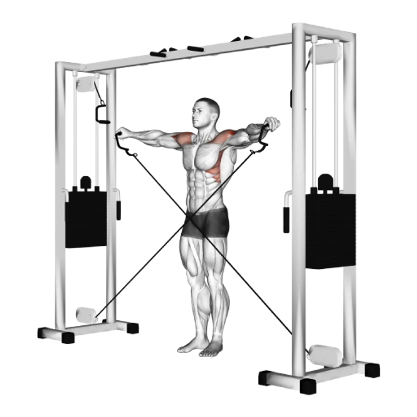 Machine Lateral Raise: Guide, Muscles Worked, Tips | Athlemove