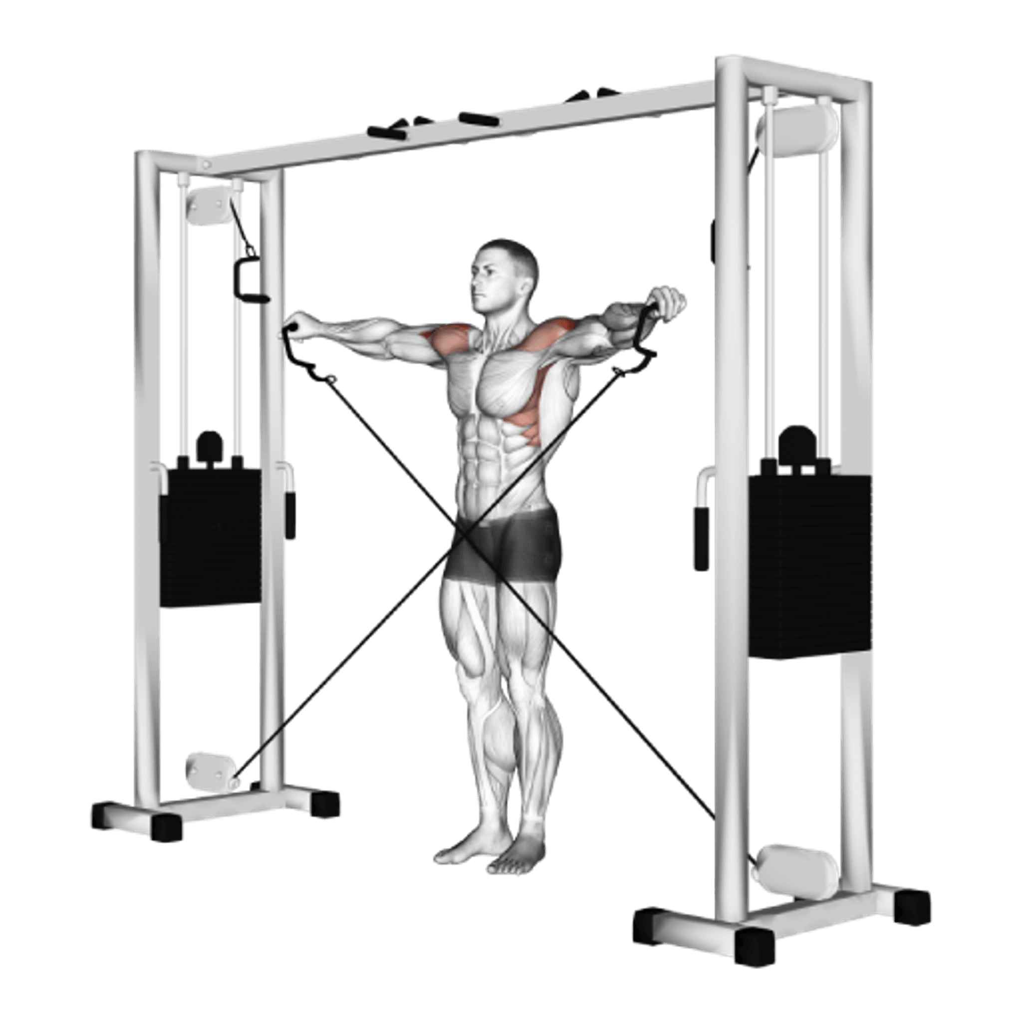 Band Lateral Raise: Guide, Muscles Worked, Tips | Athlemove