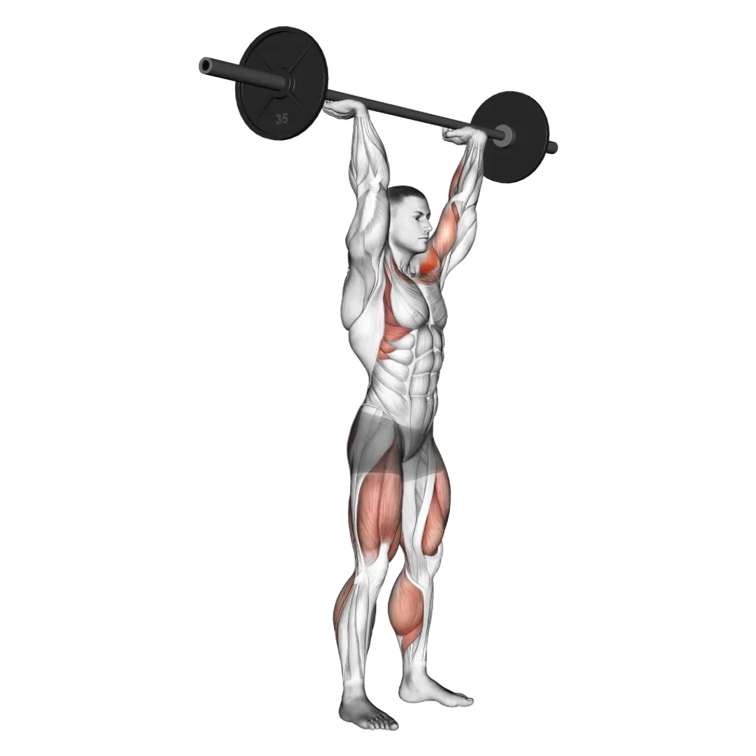 Barbell Clean and Jerk: Guide, Muscles Worked, Tips | Athlemove