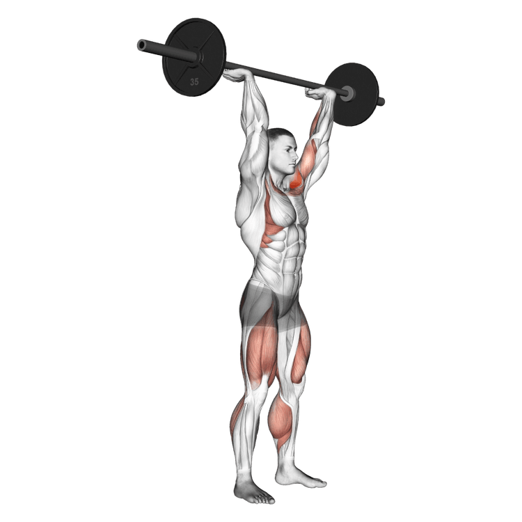 Kettlebell Snatch: Guide, Muscles Worked, Tips | Athlemove