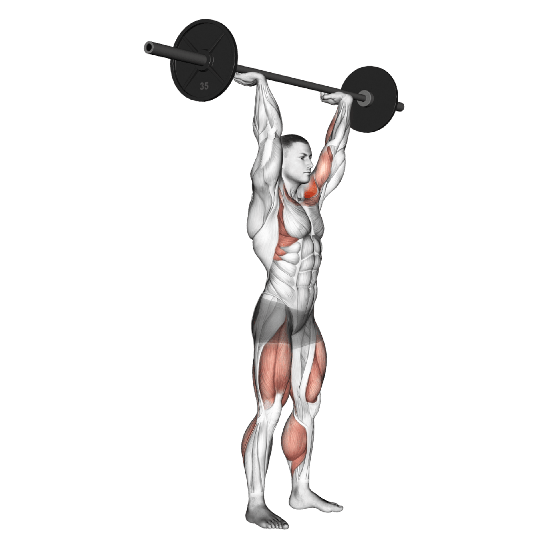 Kettlebell Snatch: Guide, Muscles Worked, Tips | Athlemove