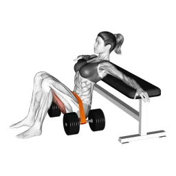 Dumbbell Hip Thrust: Guide, Muscles Worked, Tips | Athlemove
