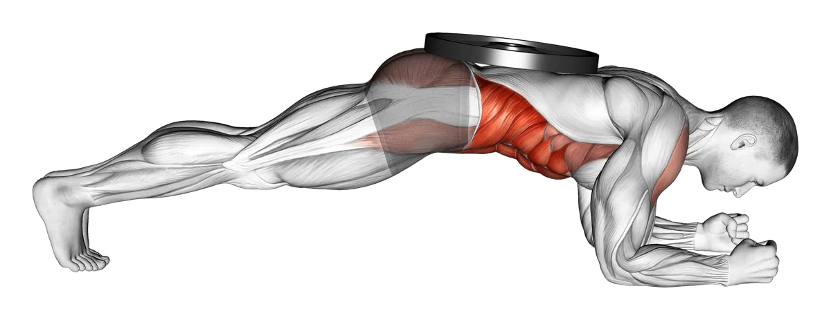 Weighted Plank: Guide, Muscles Worked, Tips | Athlemove