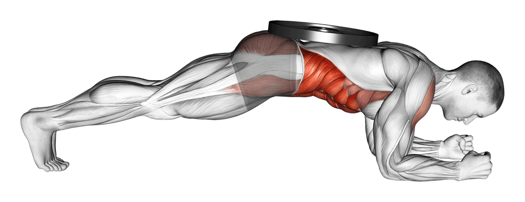 Weighted Plank: Guide, Muscles Worked, Tips | Athlemove