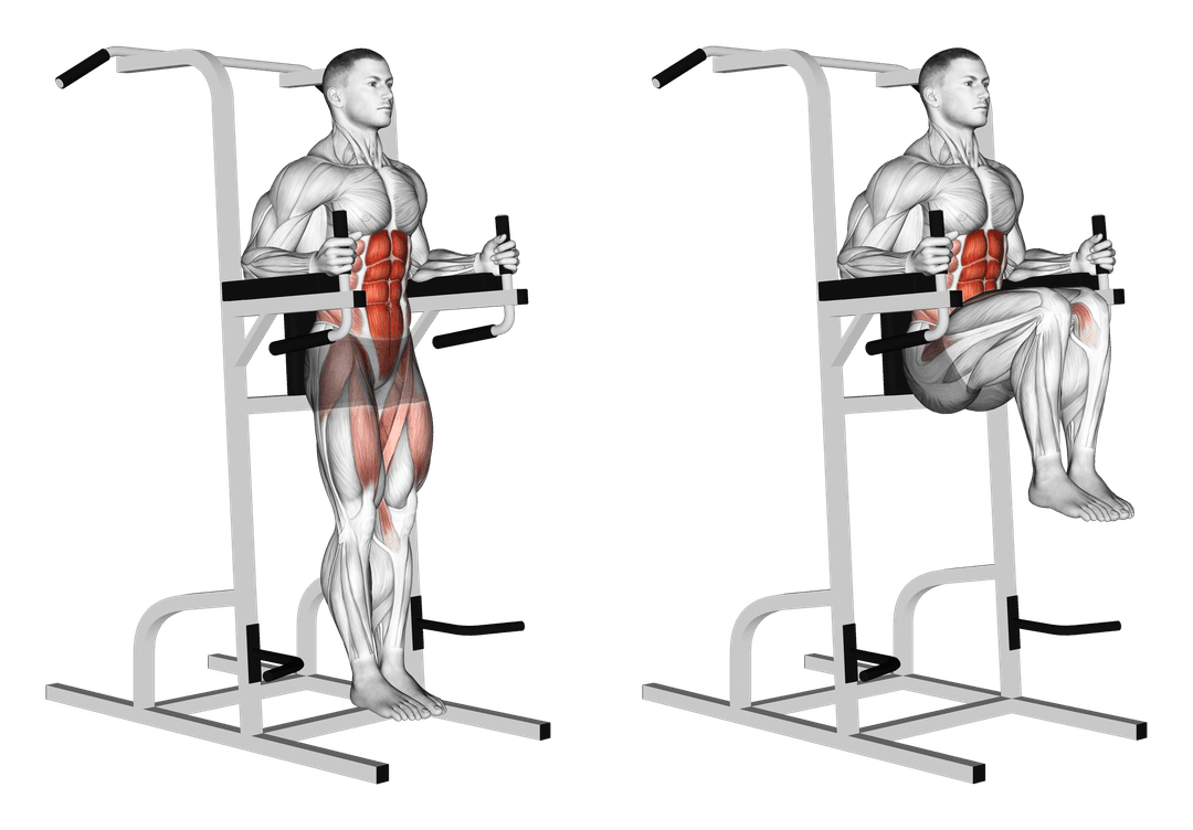 Parallel Bar Knee Raise: Guide, Muscles Worked, Tips | Athlemove