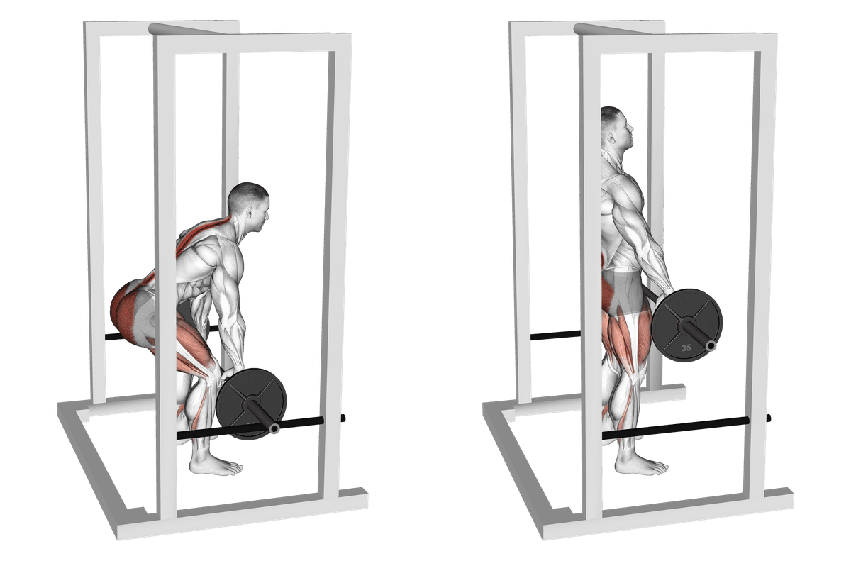 Barbell Rack Pull: Guide, Muscles Worked, Tips | Athlemove