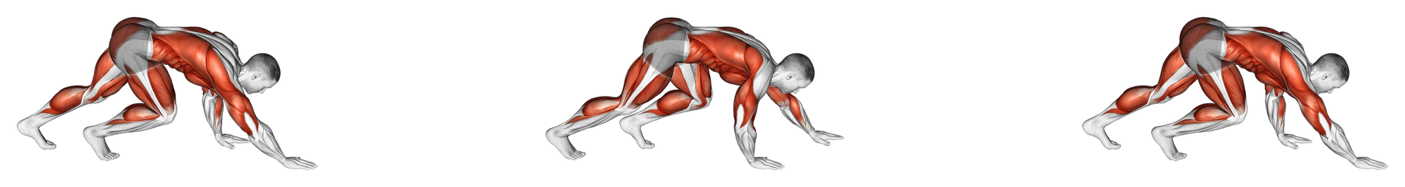 Bear Crawl: Guide, Muscles Worked, Tips | Athlemove