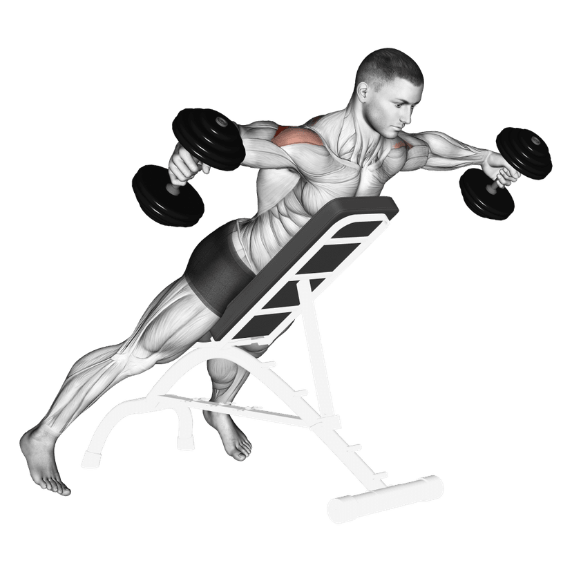 Machine Reverse Fly: Guide, Muscles Worked, Tips | Athlemove