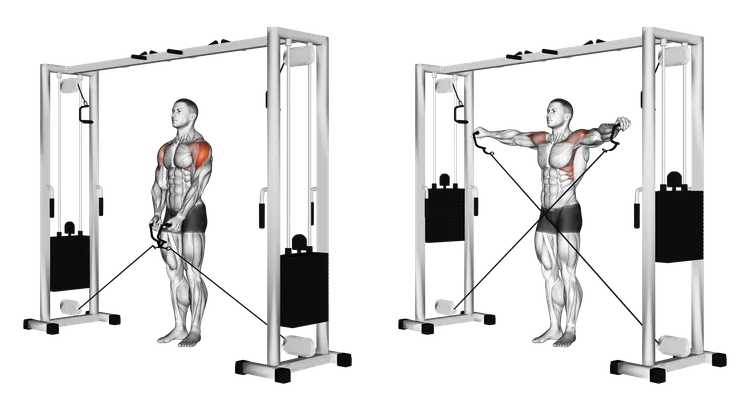 Cable Lateral Raise: Guide, Muscles Worked, Tips | Athlemove