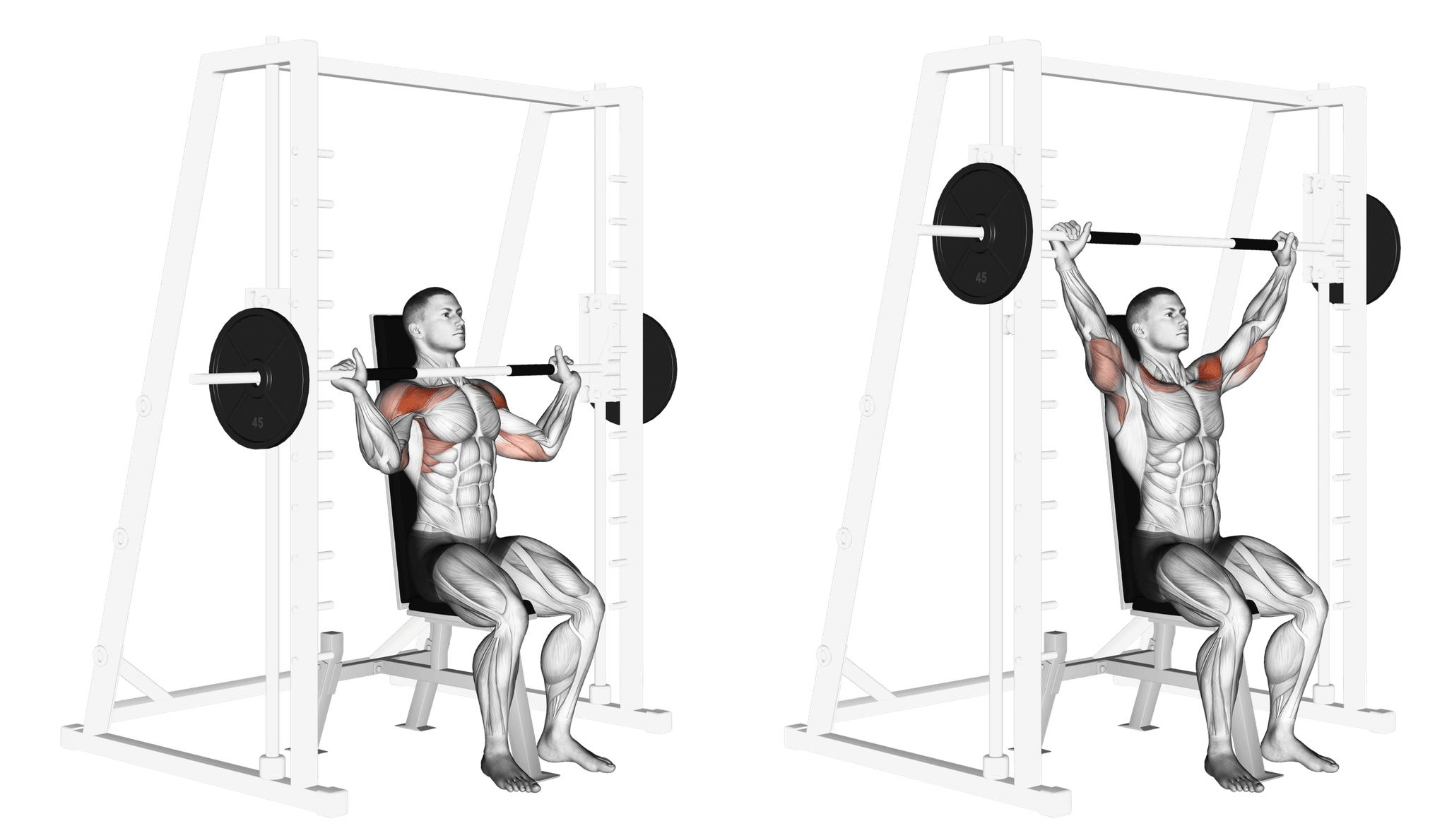 Smith Machine Shoulder Press: Guide, Muscles Worked, Tips | Athlemove
