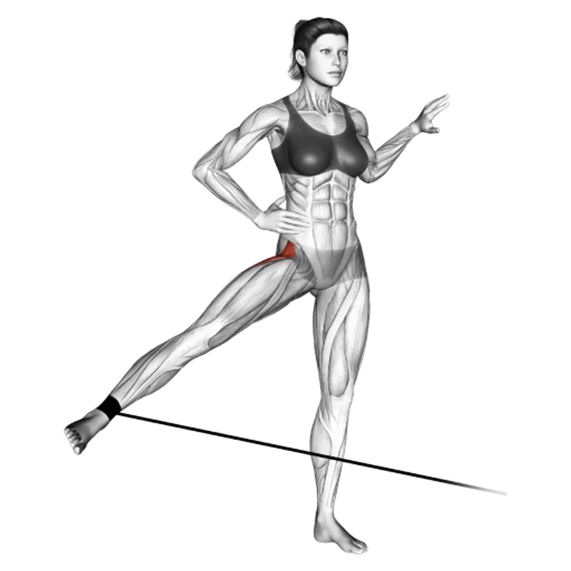 Cable Hip Abduction: Guide, Muscles Worked, Tips | Athlemove