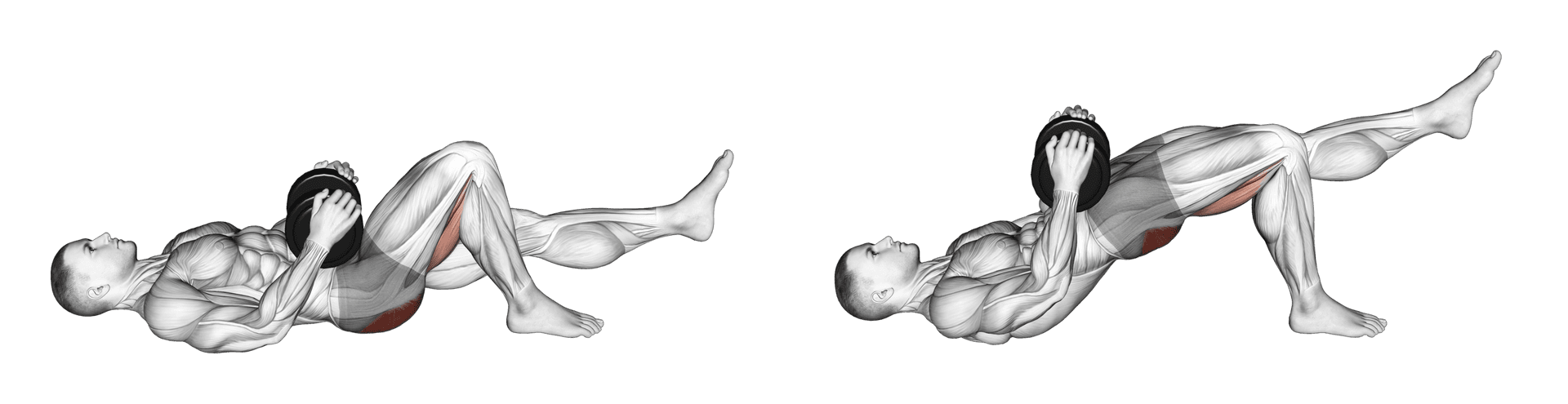 Dumbbell Single-Leg Glute Bridge: Guide, Muscles Worked, Tips | Athlemove