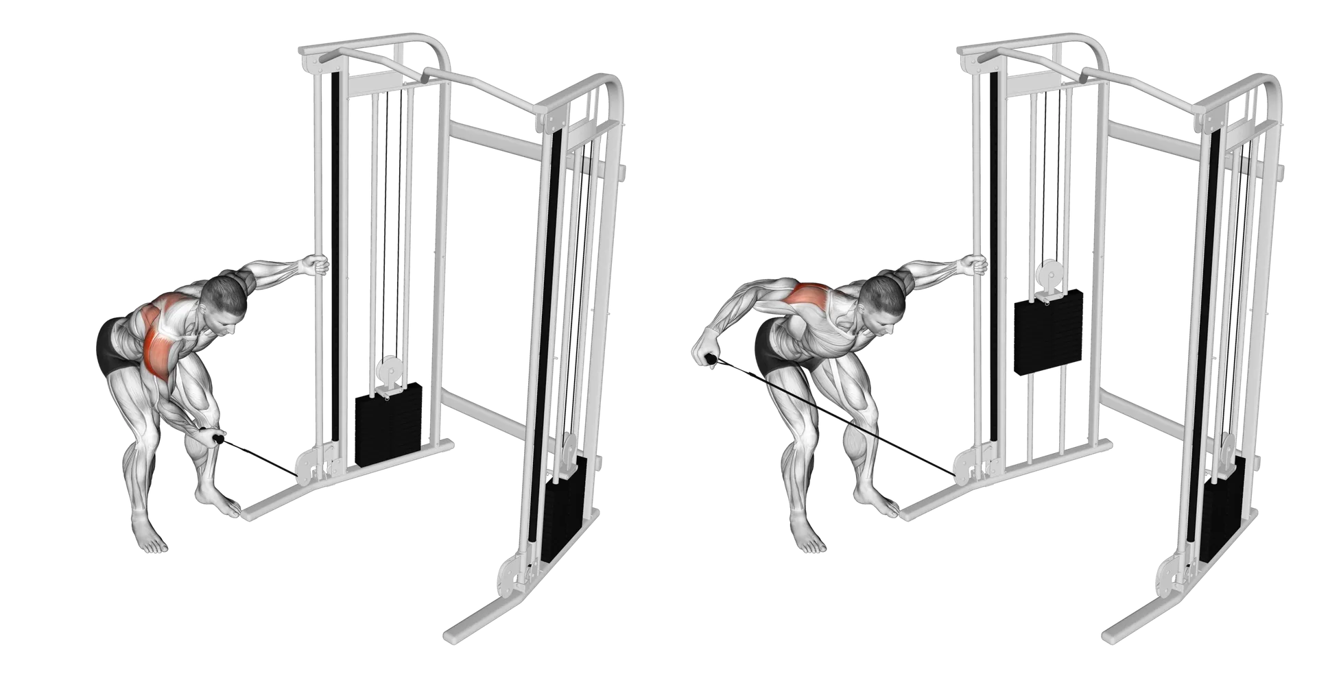 Cable Single-Arm Reverse Fly: Guide, Muscles Worked, Tips | Athlemove