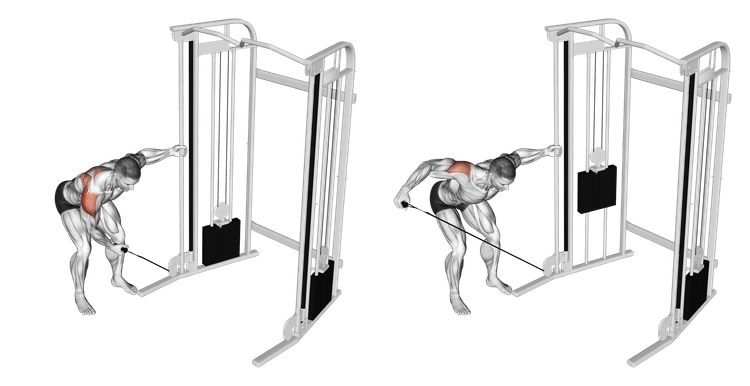 Cable Single-Arm Reverse Fly: Guide, Muscles Worked, Tips | Athlemove