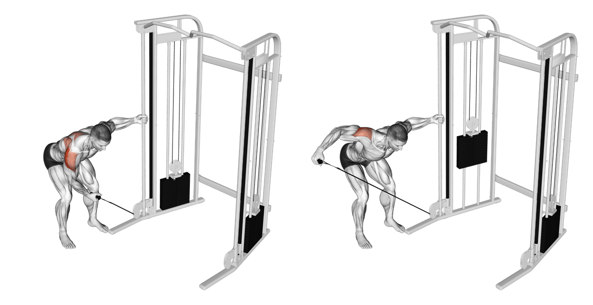 Cable Single-Arm Reverse Fly: Guide, Muscles Worked, Tips | Athlemove