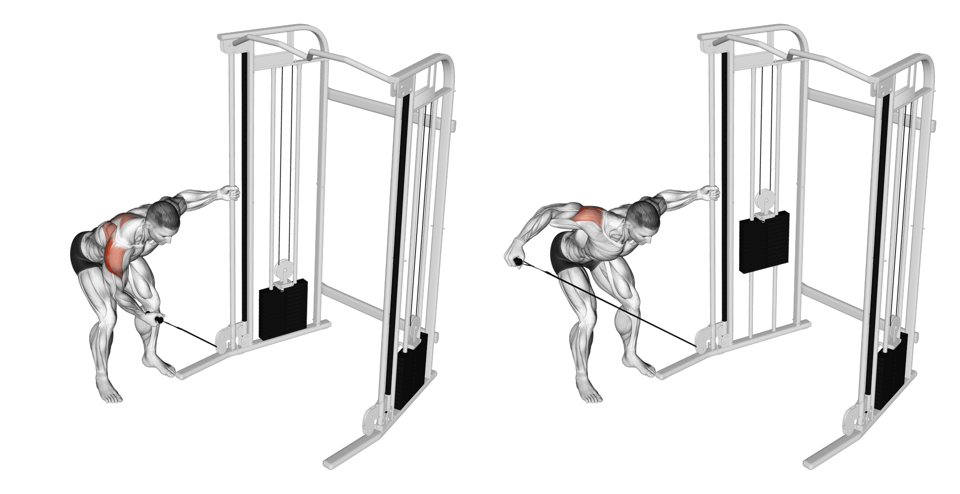 Cable Single-Arm Reverse Fly: Guide, Muscles Worked, Tips | Athlemove