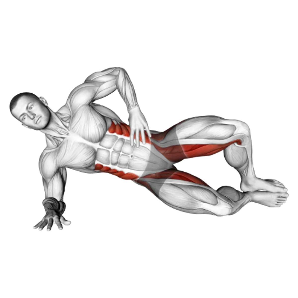 Cable Hip Abduction: Guide, Muscles Worked, Tips | Athlemove