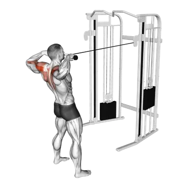 Dumbbell Reverse Fly: Guide, Muscles Worked, Tips | Athlemove