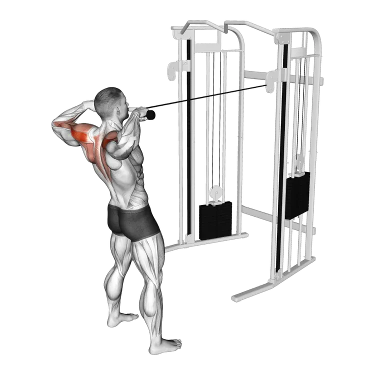 Cable Reverse Fly: Guide, Muscles Worked, Tips | Athlemove