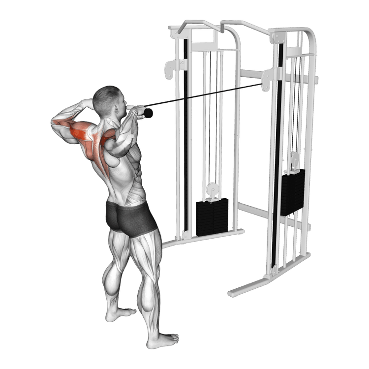 Cable Reverse Fly: Guide, Muscles Worked, Tips | Athlemove