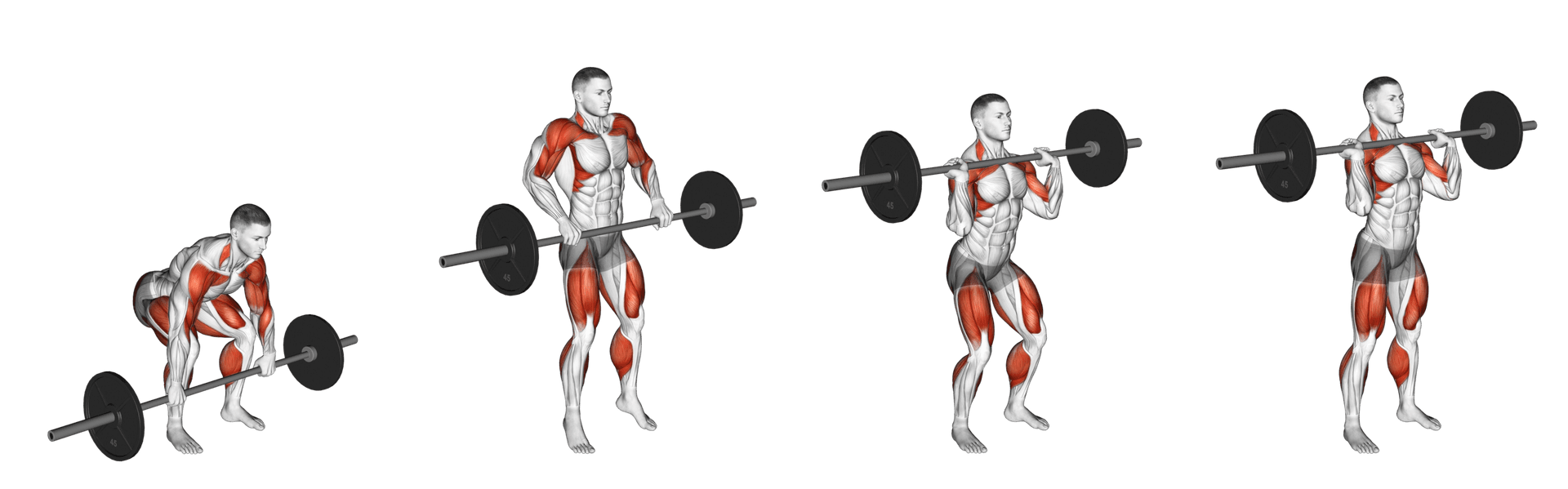 Barbell Power Clean: Guide, Muscles Worked, Tips | Athlemove