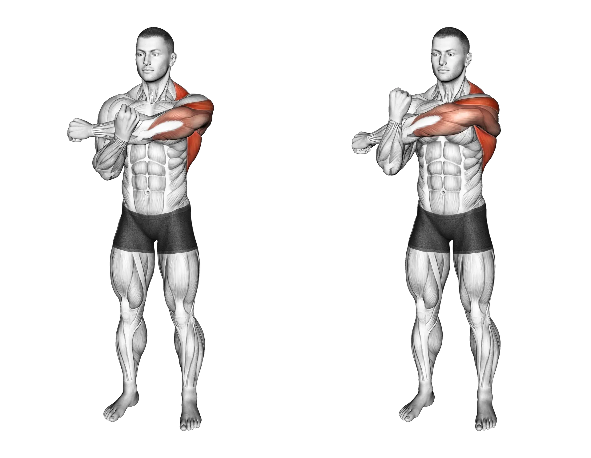 Cross-Body Shoulder Stretch: Guide, Muscles Worked, Tips | Athlemove