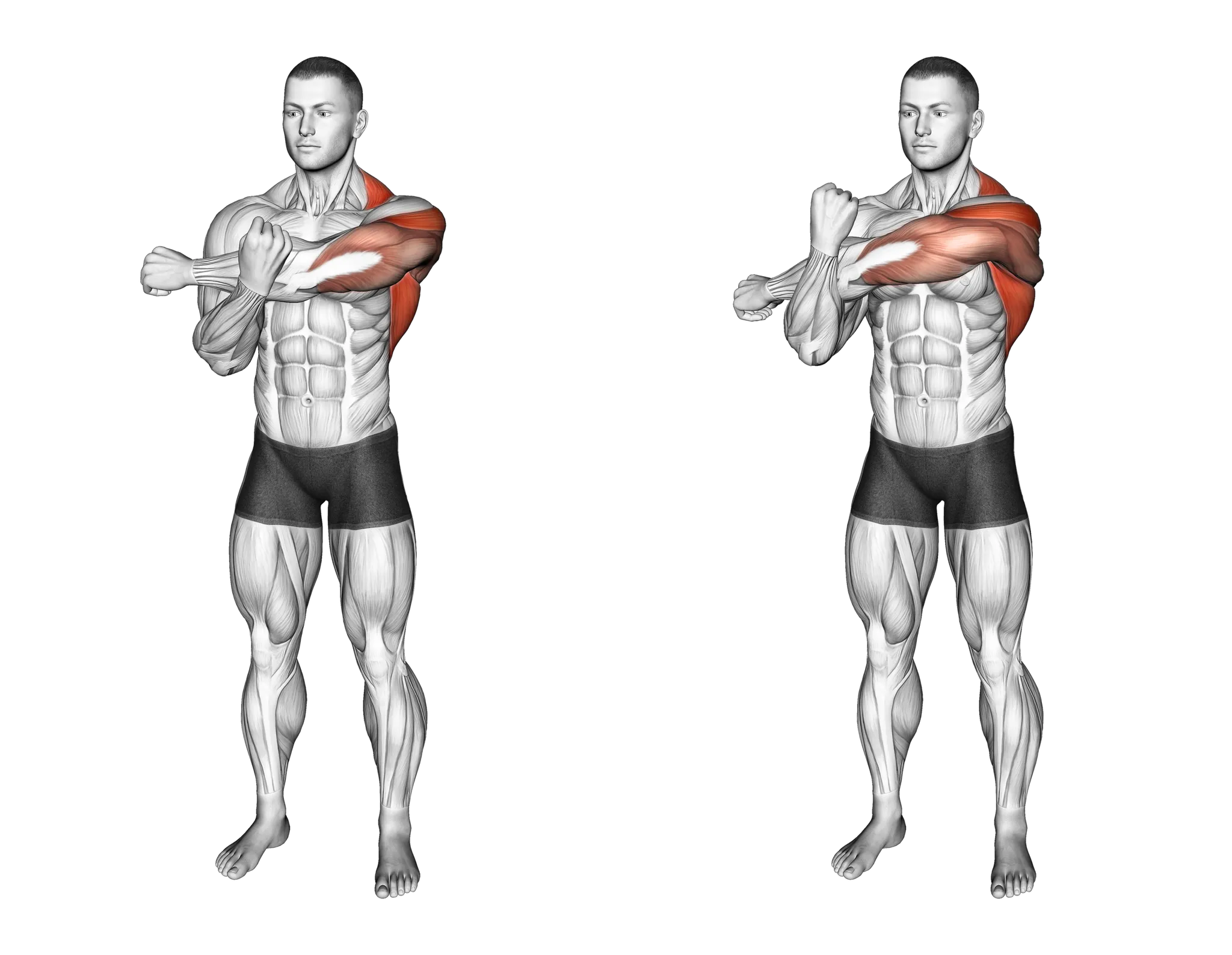 Cross-Body Shoulder Stretch: Guide, Muscles Worked, Tips | Athlemove