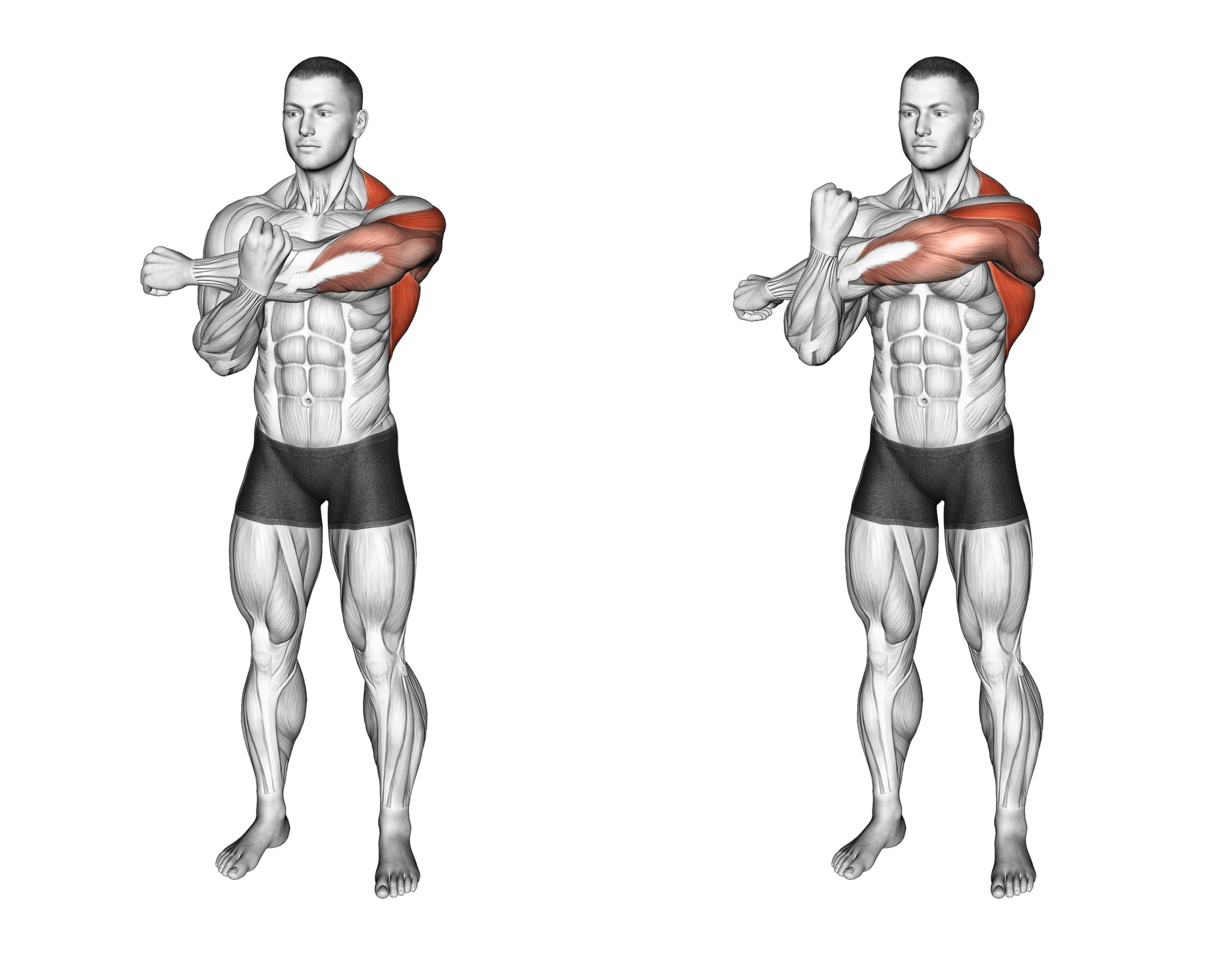 Cross-Body Shoulder Stretch: Guide, Muscles Worked, Tips | Athlemove