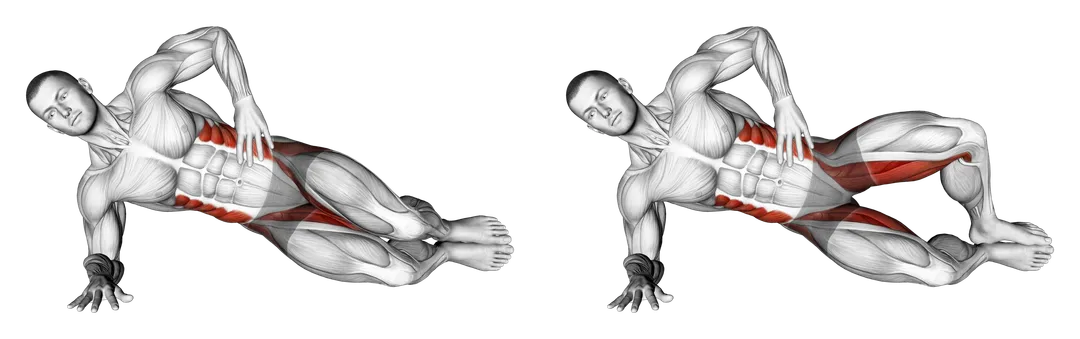 Clamshell: Guide, Muscles Worked, Tips | Athlemove