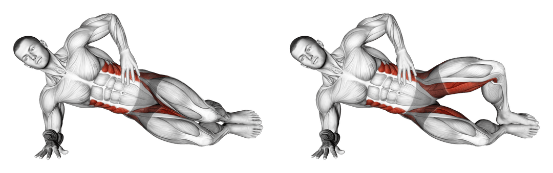 Clamshell: Guide, Muscles Worked, Tips | Athlemove