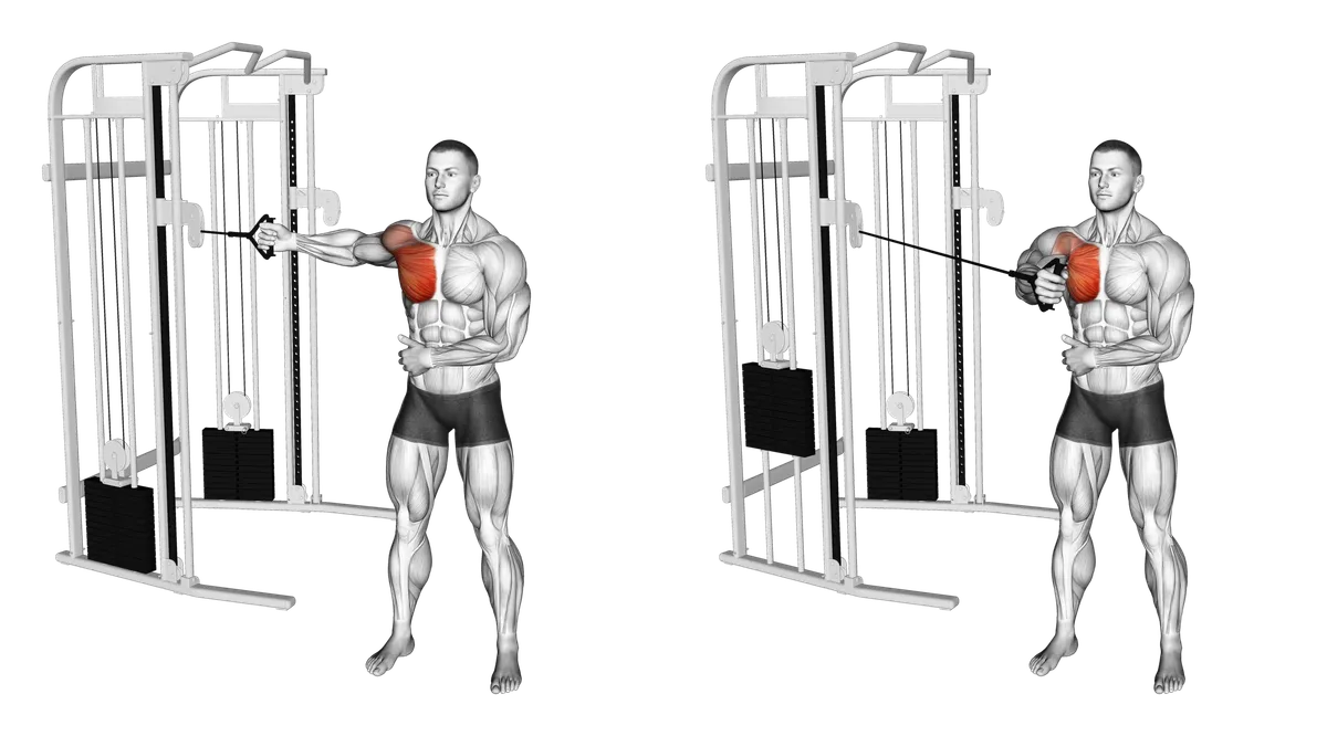 Cable Single-Arm Fly: Guide, Muscles Worked, Tips | Athlemove