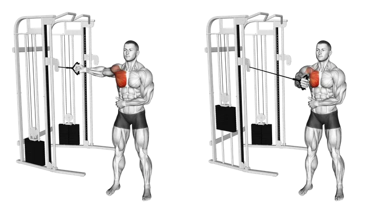 Cable Single-Arm Fly: Guide, Muscles Worked, Tips | Athlemove