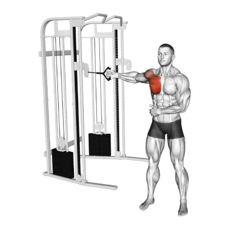 Cable Crossover: Guide, Muscles Worked, Tips | Athlemove