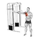 Dumbbell Fly: Guide, Muscles Worked, Tips | Athlemove