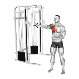 Machine Pec Deck Fly: Guide, Muscles Worked, Tips | Athlemove