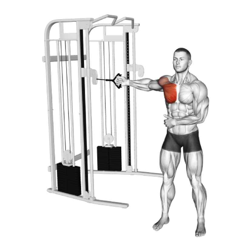 Machine Pec Deck Fly: Guide, Muscles Worked, Tips | Athlemove