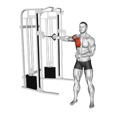 Machine Pec Deck Fly: Guide, Muscles Worked, Tips | Athlemove