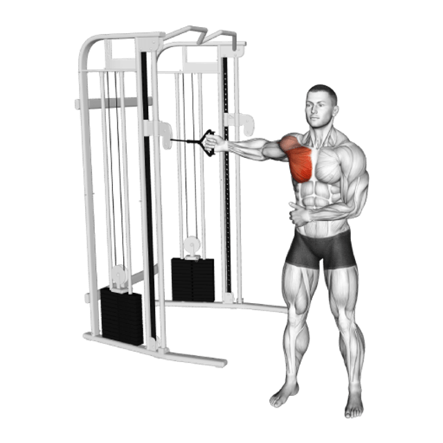 Machine Pec Deck Fly: Guide, Muscles Worked, Tips | Athlemove