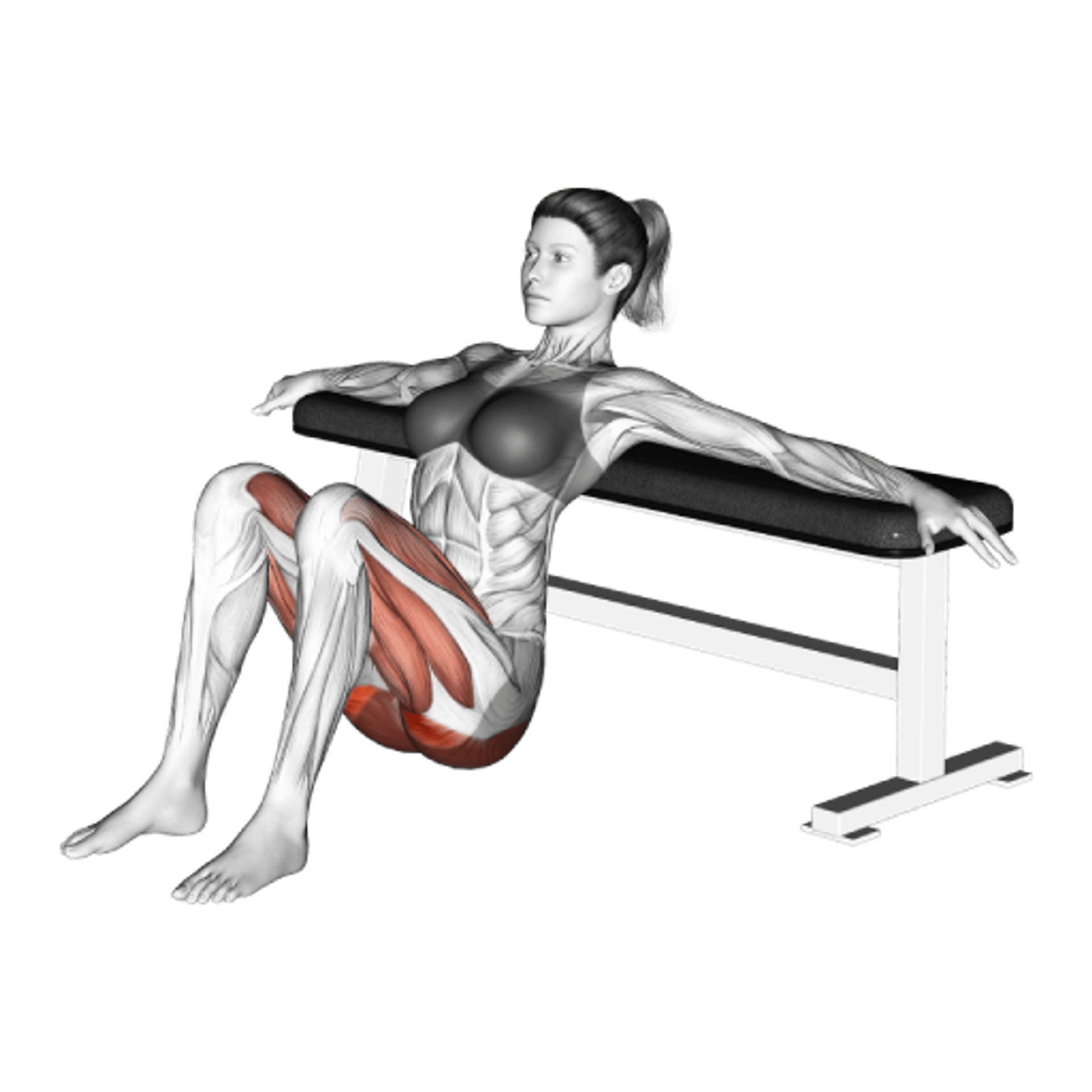 Dumbbell Hip Thrust: Guide, Muscles Worked, Tips | Athlemove