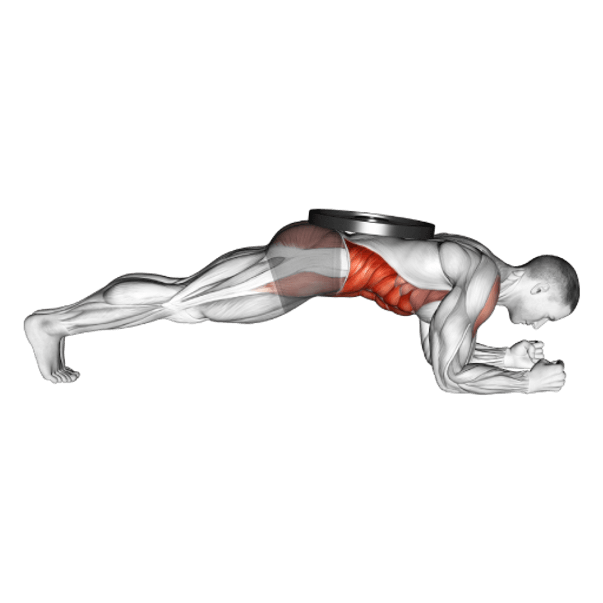 Dumbbell Side Bend: Guide, Muscles Worked, Tips | Athlemove