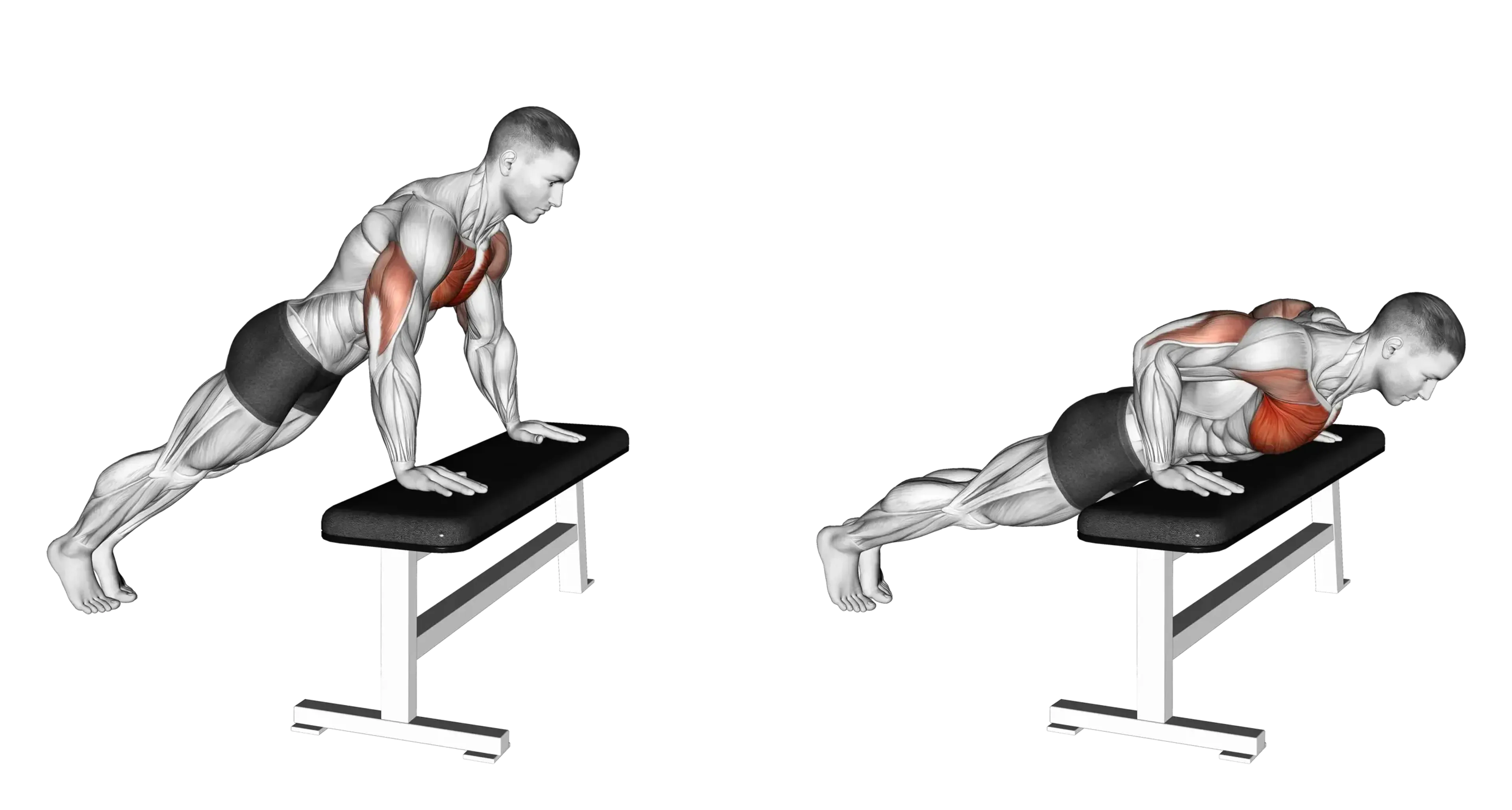 Incline Push Up Guide Muscles Worked Tips Athlemove Incline Push Up Guide Muscles Worked Tips Athlemove