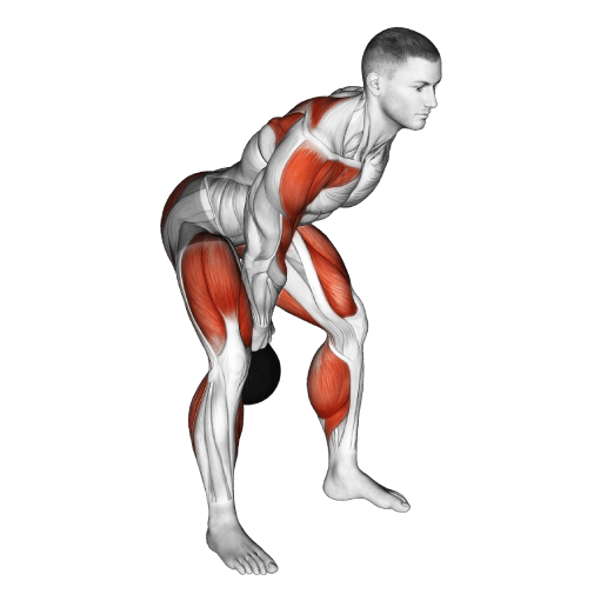 Push Press: Guide, Muscles Worked, Tips | Athlemove