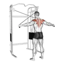 Machine Reverse Fly: Guide, Muscles Worked, Tips | Athlemove