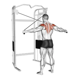 Machine Reverse Fly: Guide, Muscles Worked, Tips | Athlemove